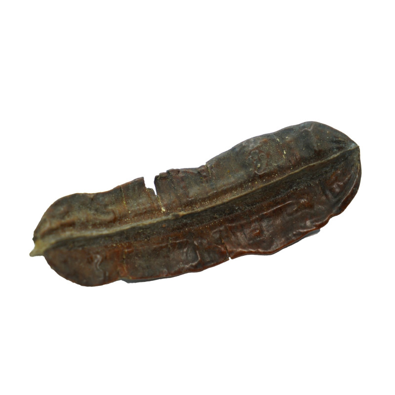 Unlock the secrets of West African culinary tradition and holistic ...